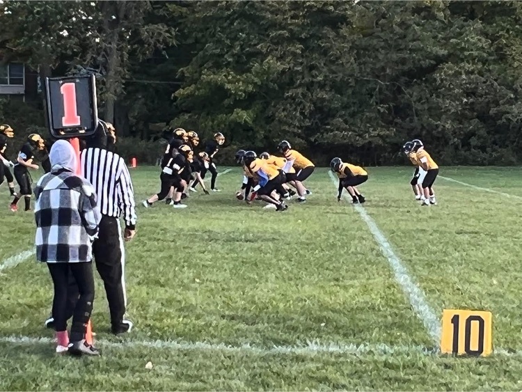 Live Feed | Glenview Athletics